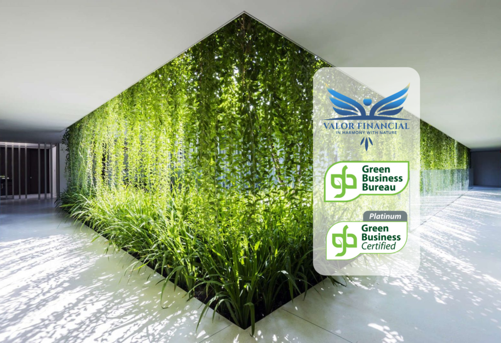 Valor Financial (Mauritius) Ltd. – Valor Financial (Mauritius) Ltd.