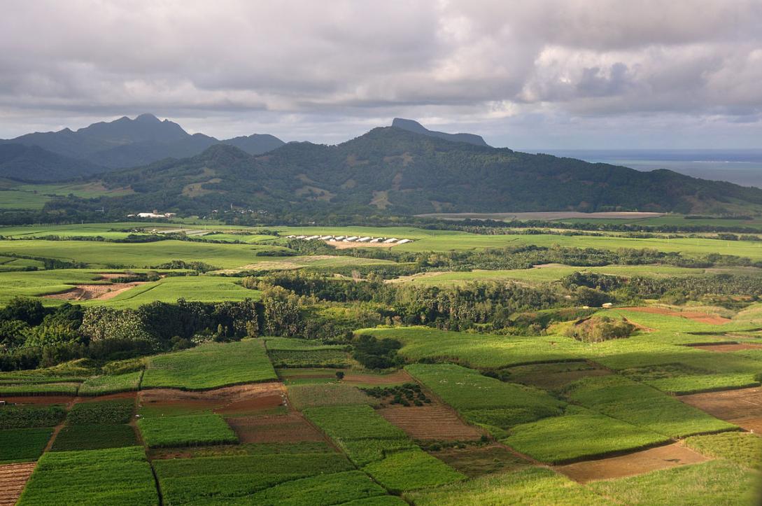 Building a Sustainable Future: The Role of Climate-Smart Agriculture in ...